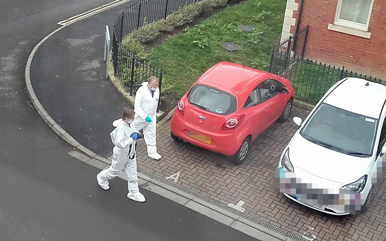 Murder investigation launched after man in 20s stabbed to death