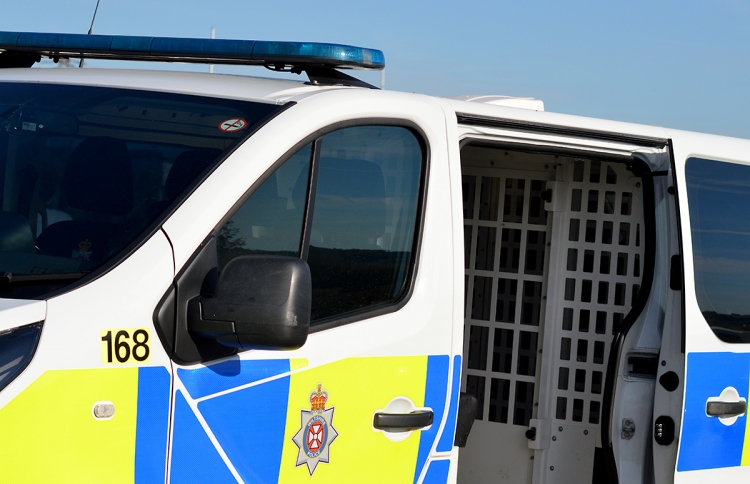 Police officer makes a splash as suspect pushes them into pool during ...