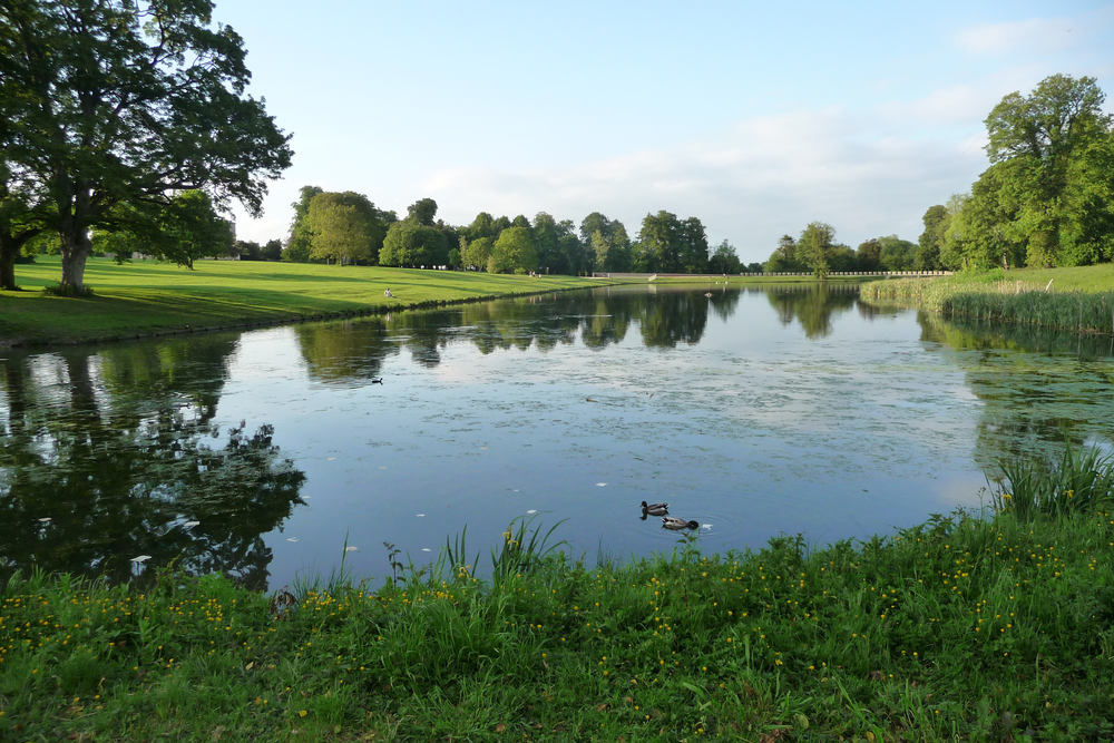 Stranger saves boy, 4, from drowning in Lydiard lake - his mother was ...