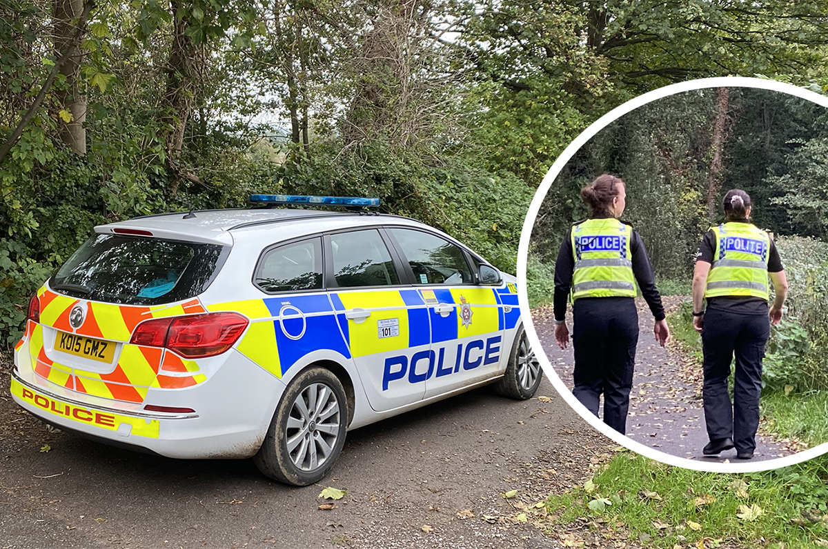 Man seen 'jumping garden fences' as police give chase through Chippenham