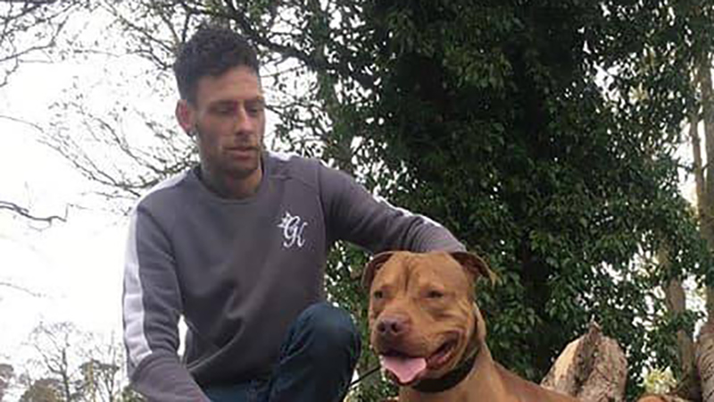 Corsham man recalled to prison for smashing through woman's door and ...