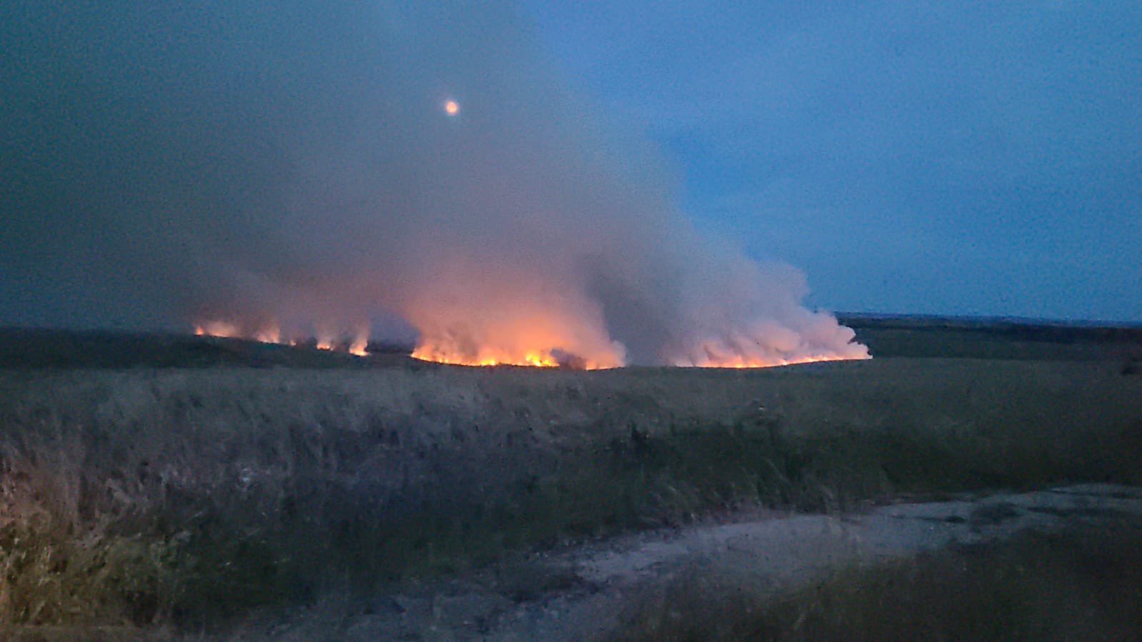 Wildfire rages on as firefighters barred from tackling Salisbury Plain ...