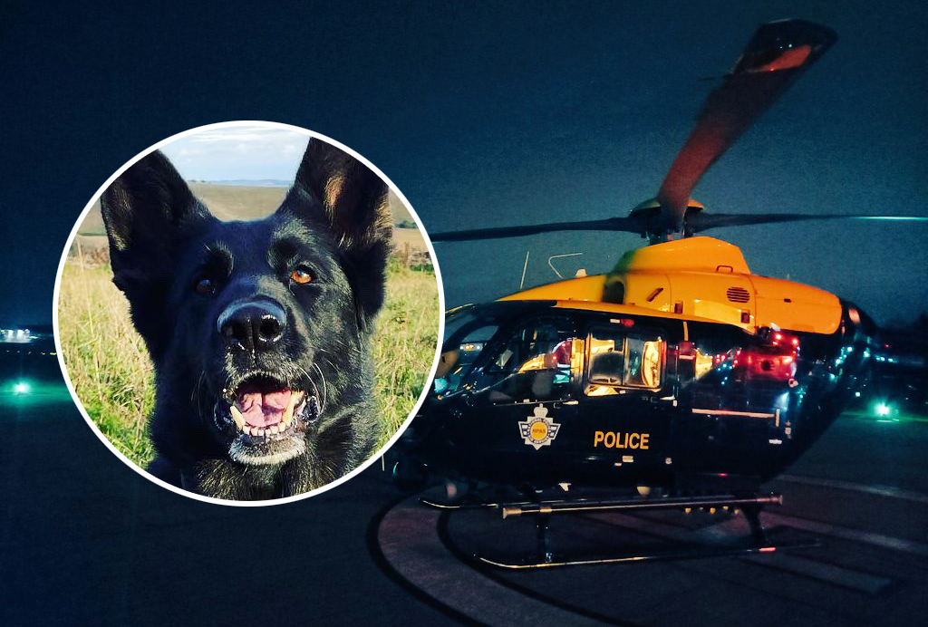 Police dog and helicopter team up to locate man who fled late-night M4 ...