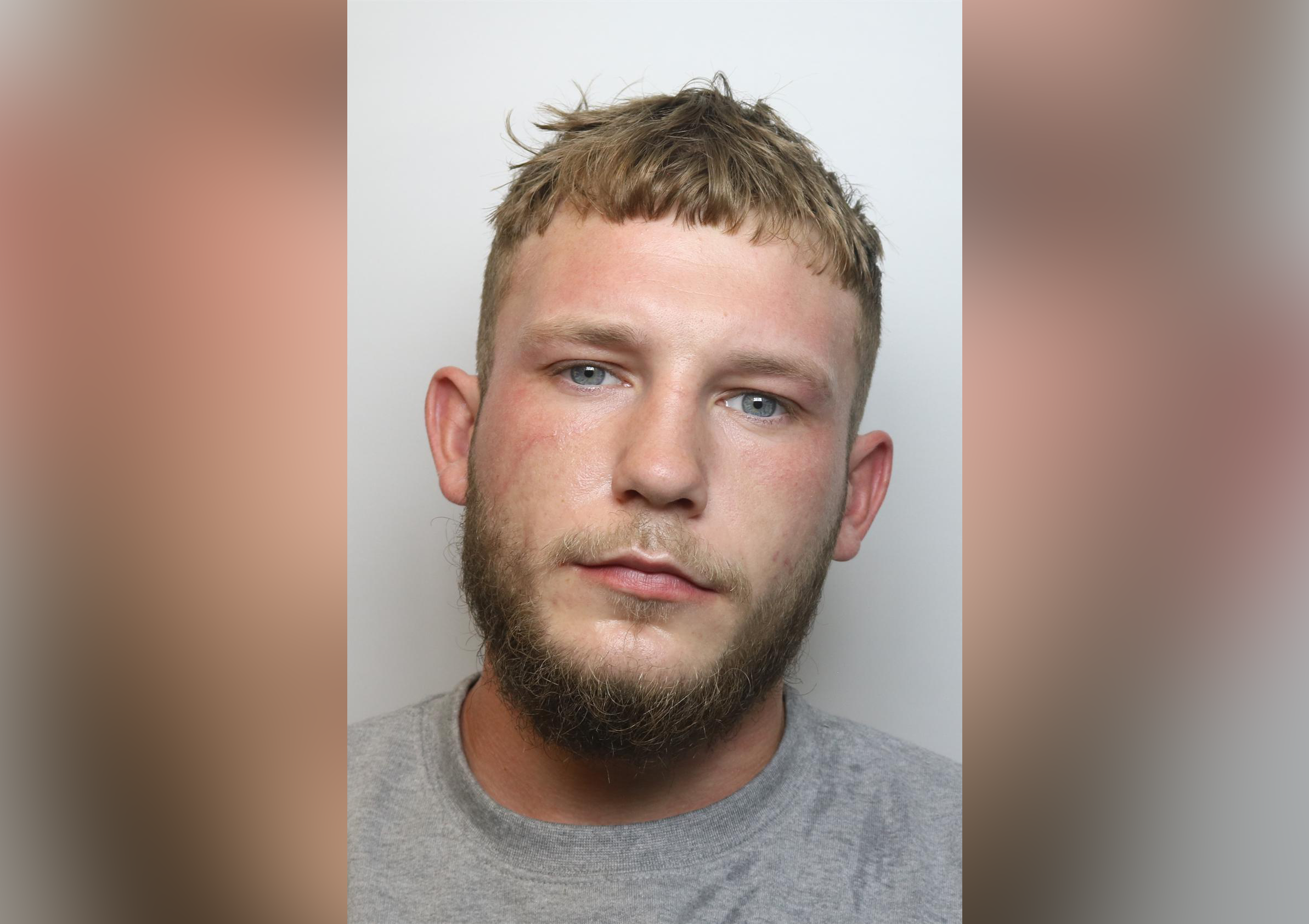 Driver jailed for dragging officer down road and hitting pedestrian in ...