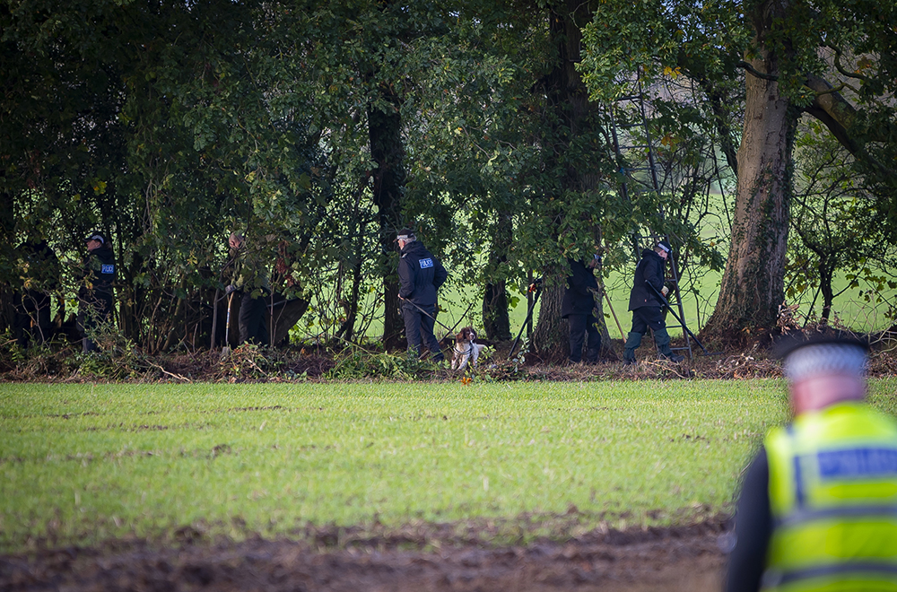 Specialist search team and police dog comb copse near Malmesbury