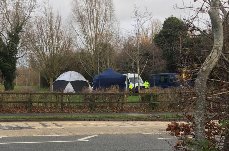 Police search undergrowth for evidence as part of Owen Dunn murder probe