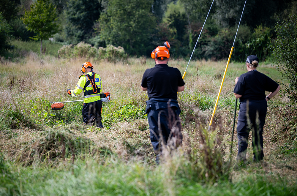 Firearm probe sparks strimming of bushes at Wiltshire nature reserve