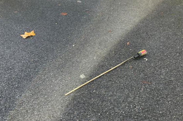 Wiltshire woman 'called police over firework debris found on driveway'