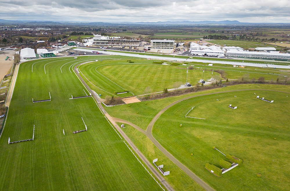 Highland Hunter put to sleep after fall at Cheltenham Festival
