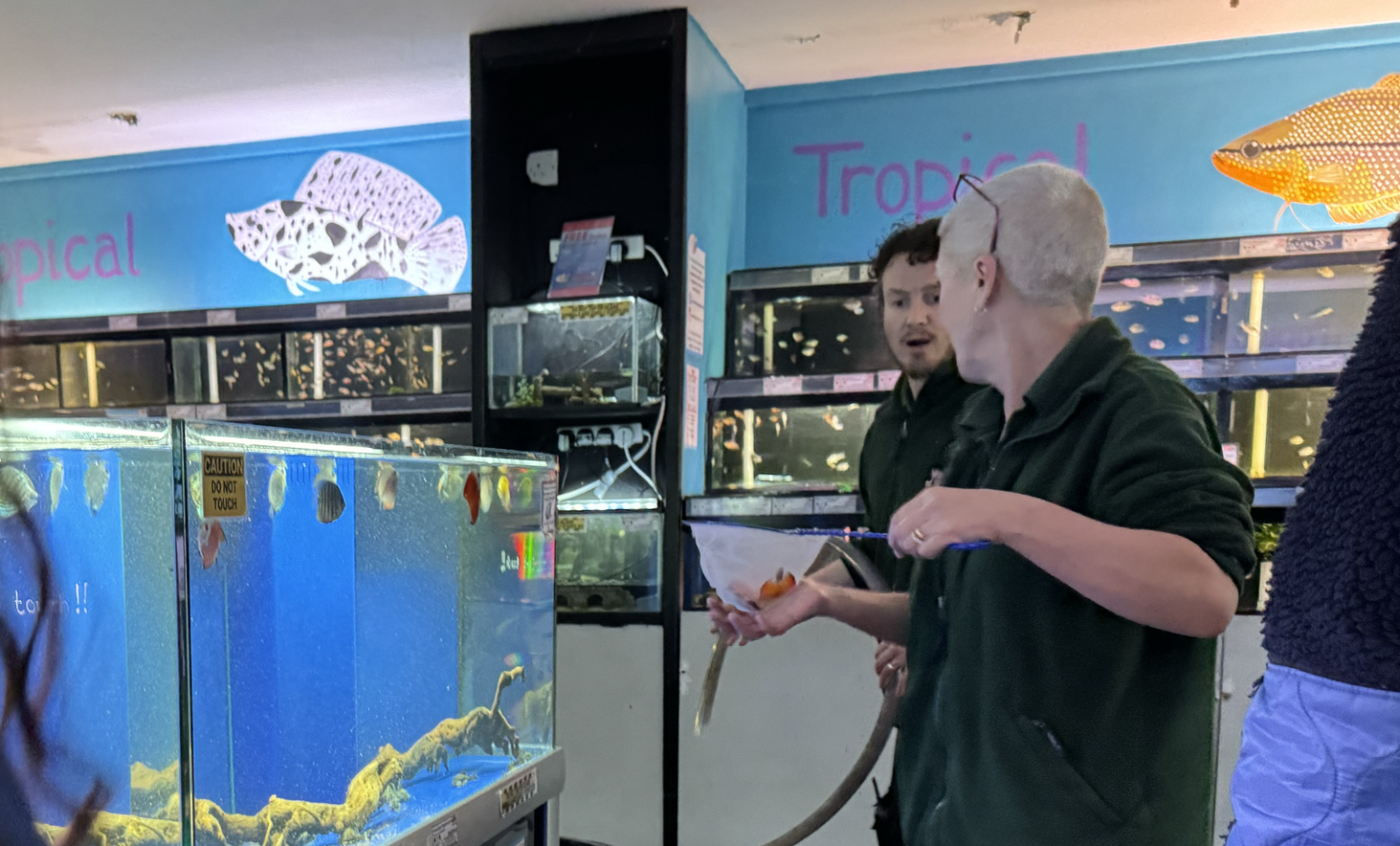 Many fish killed in horror 'poisoning' at Swindon aquatics centre