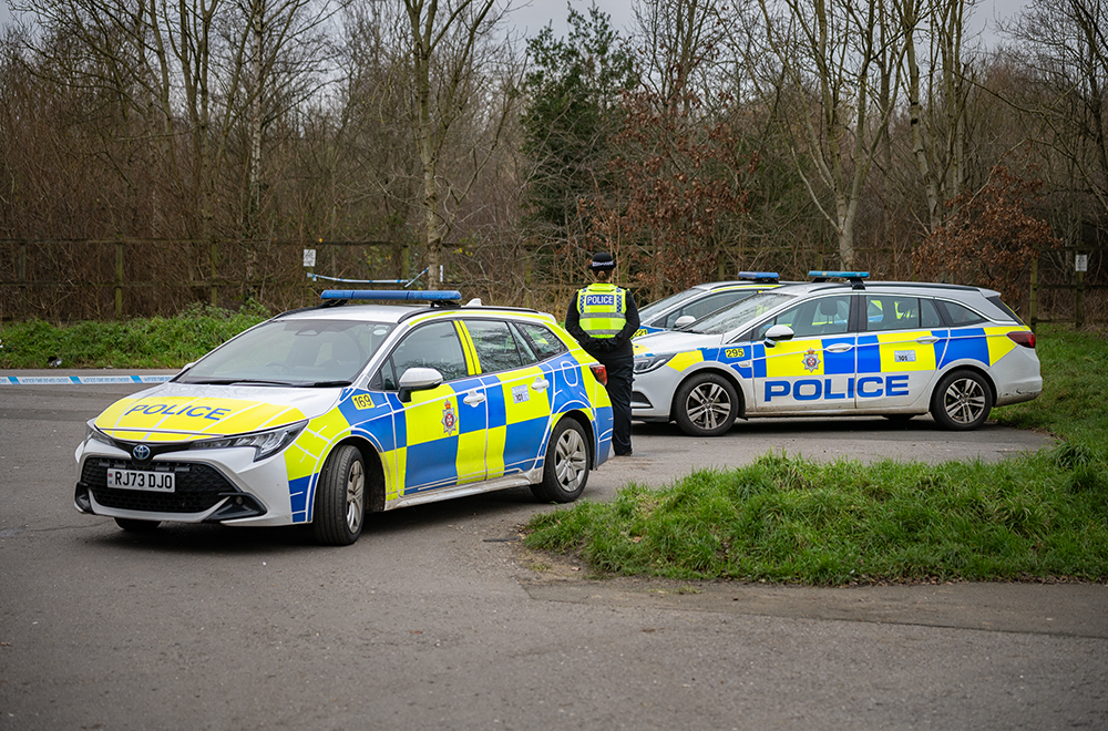 Live updates: Police swarm Swindon woodland amid incident