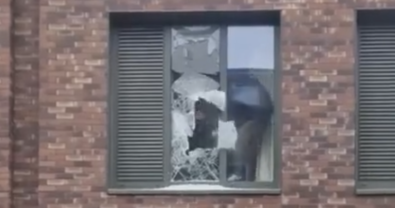 Video shows man smashing Swindon hotel window and jumping out