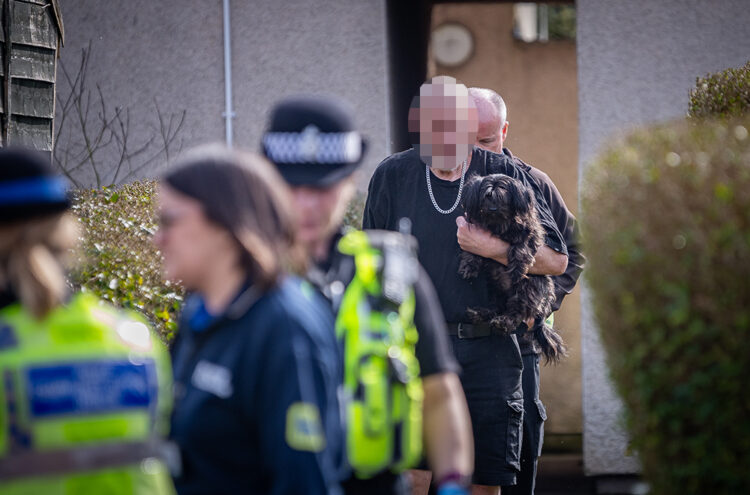 Police help RSPCA remove 'lots' of dogs from Wiltshire home