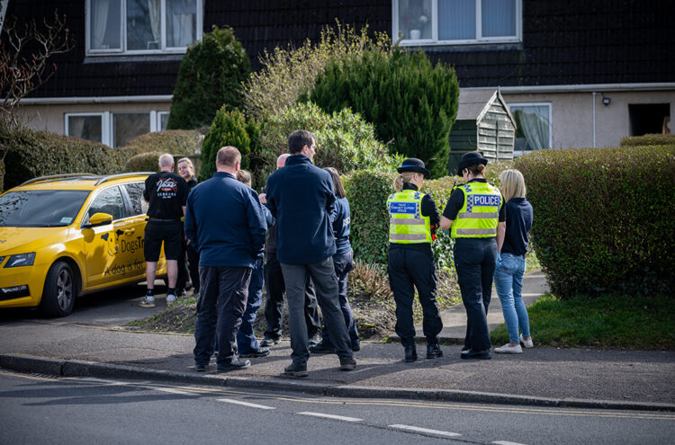 Police help RSPCA remove 'lots' of dogs from Wiltshire home