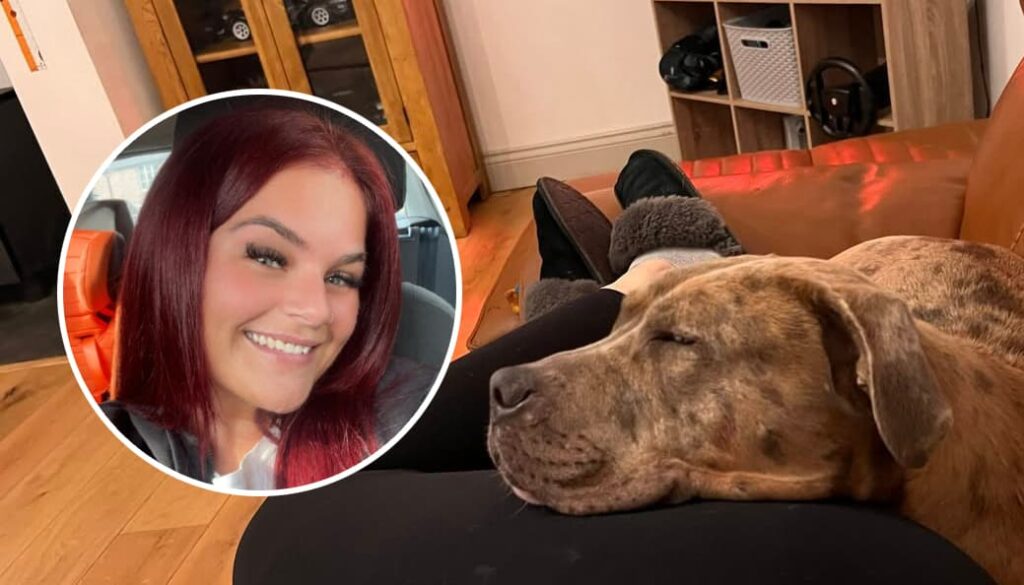 Woman sends "massive F U" to victim in XL Bully attack case