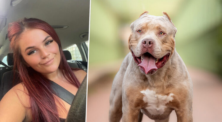 Devizes woman convicted after XL Bully attacks victim in street