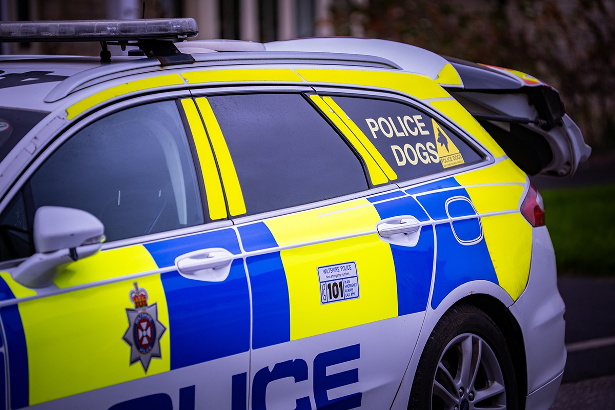 Dangerous dog put down after 'scared' owner calls 999 in Swindon