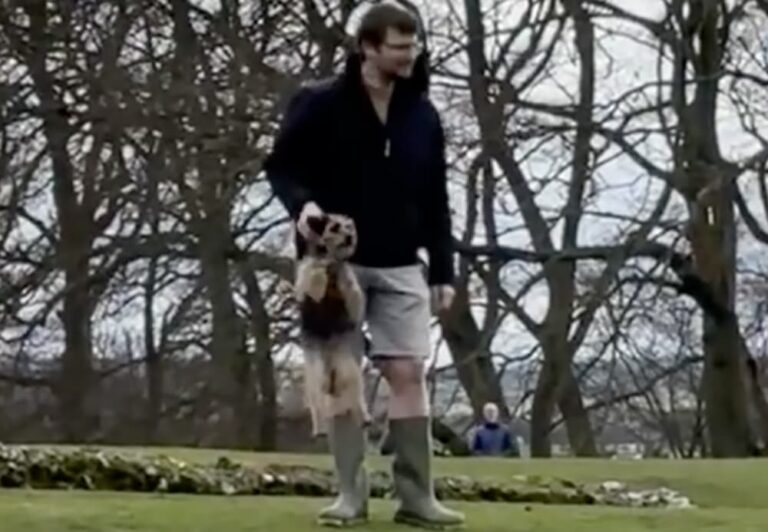 Council leader speaks out after he's filmed 'scruffing' dog on walk
