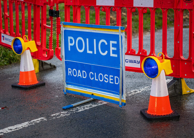 Two dogs seized after teenage boy mauled in attack near Devizes